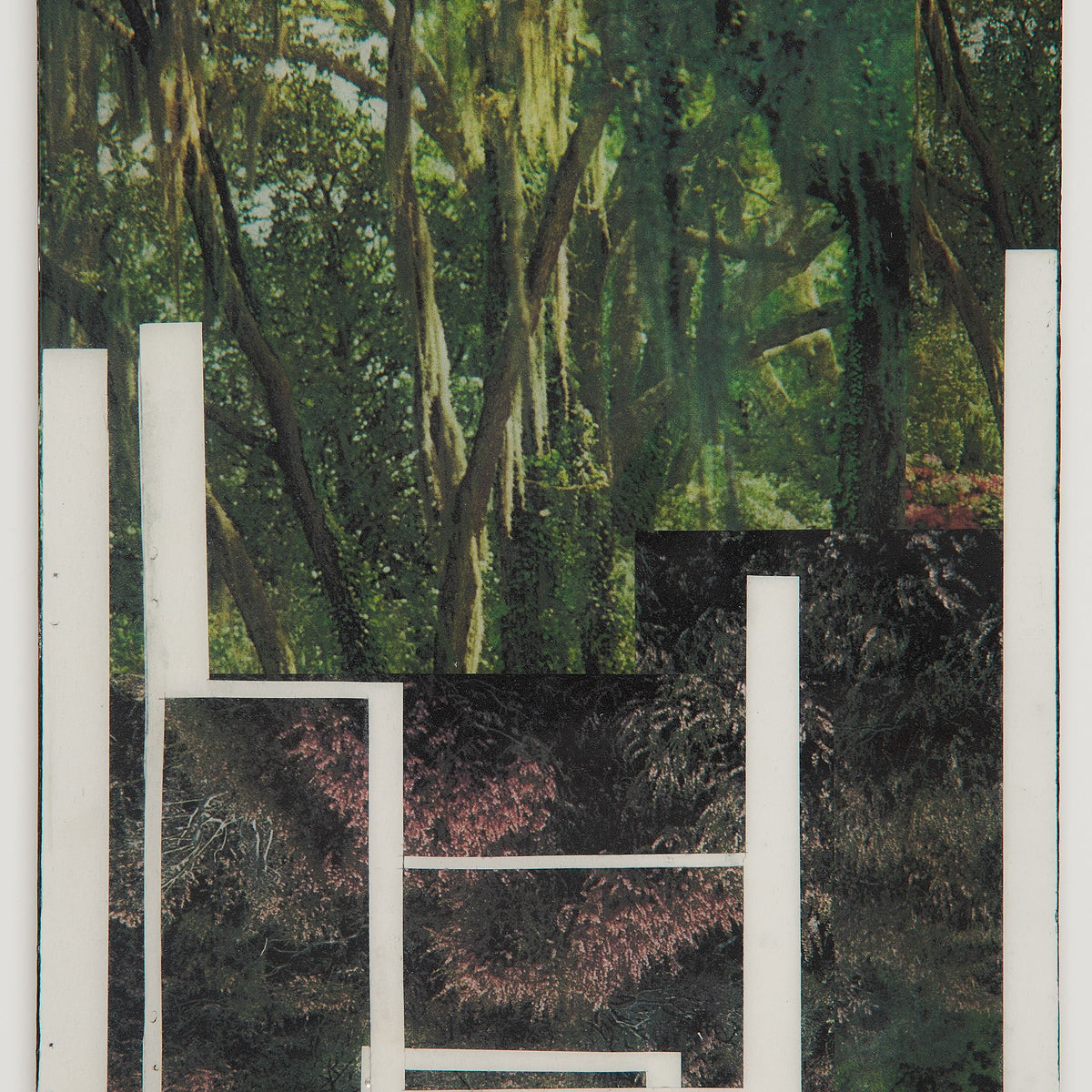 Margin (series) – Hypha Curates